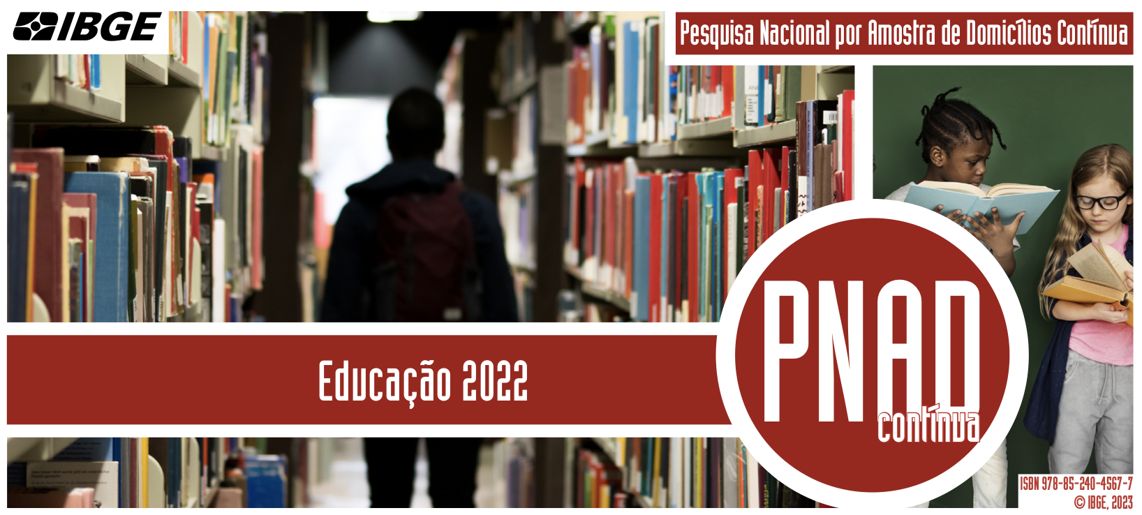 PNAD Contínua 2022: "Precisamos identificar grupos mais afetados e ...